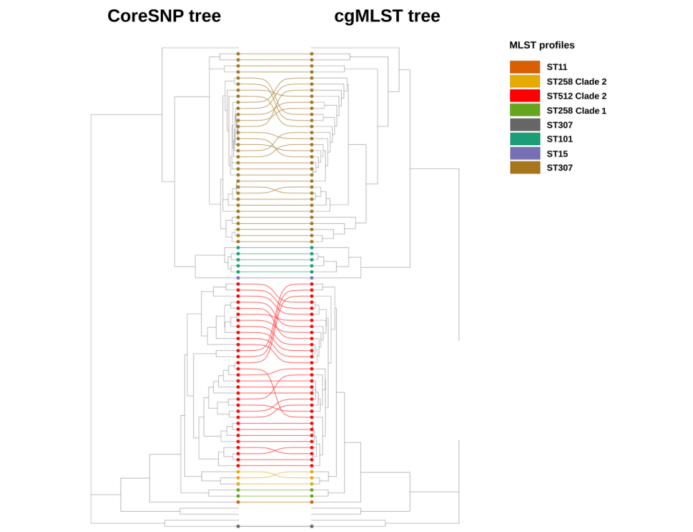 文章解读丨用于肺炎克雷伯菌聚类分析的cgMLST，coreSNP和PFGE方法比较-微生物研究-密码子学院-生物科研技能学习平台