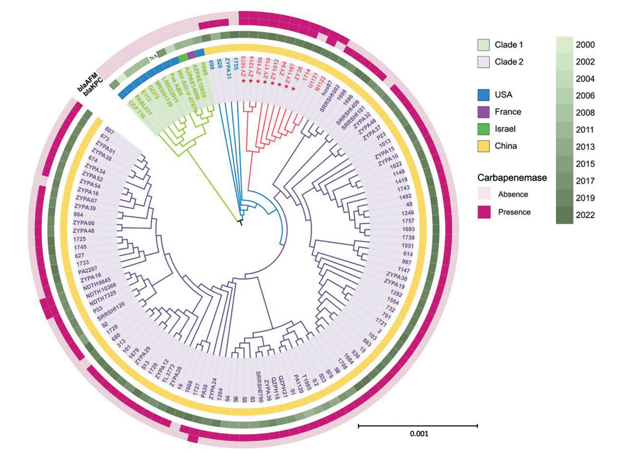 【文献速递】同时产KPC-2和AFM-1碳青霉烯酶的铜绿假单胞菌高危克隆ST463-细菌基因组研究-密码子学院-生物科研技能学习平台