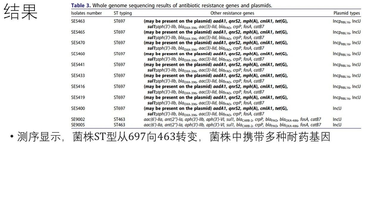 【文献速递】产KPC酶的高毒力ST697与ST463型铜绿假单胞菌在2010-2021年之间反复出现-细菌基因组研究-密码子学院-生物科研技能学习平台