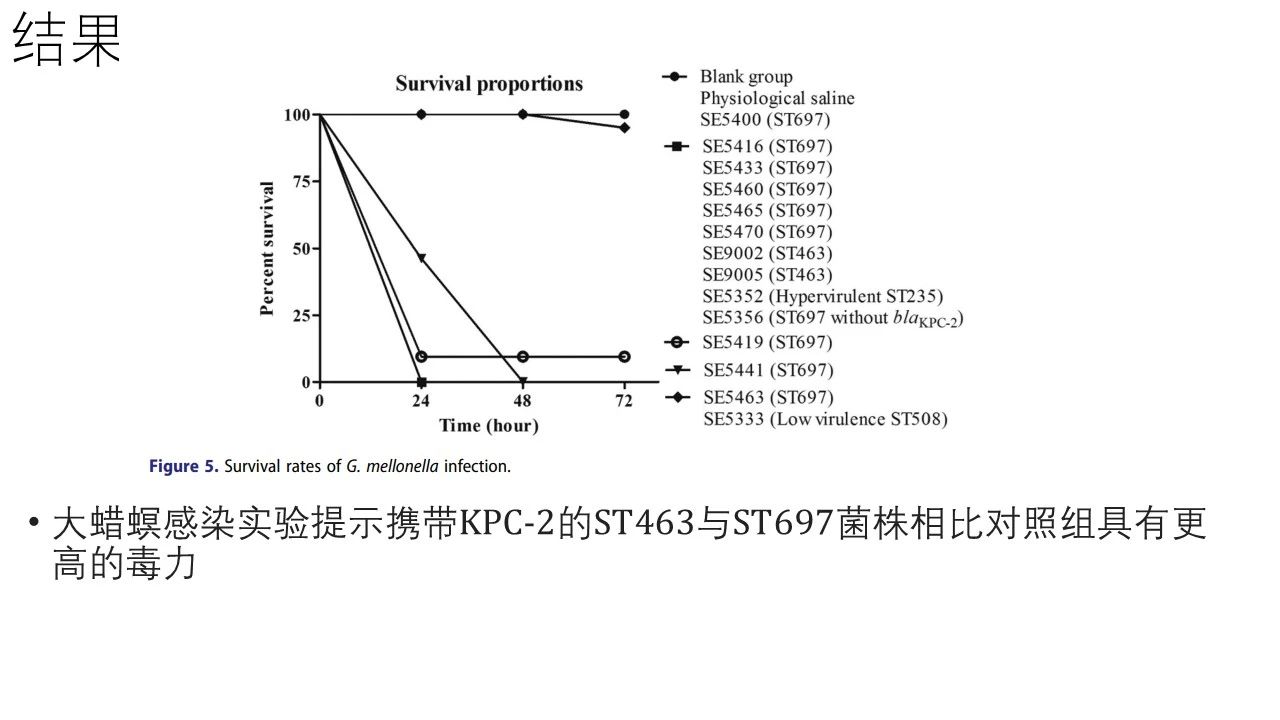 【文献速递】产KPC酶的高毒力ST697与ST463型铜绿假单胞菌在2010-2021年之间反复出现-细菌基因组研究-密码子学院-生物科研技能学习平台